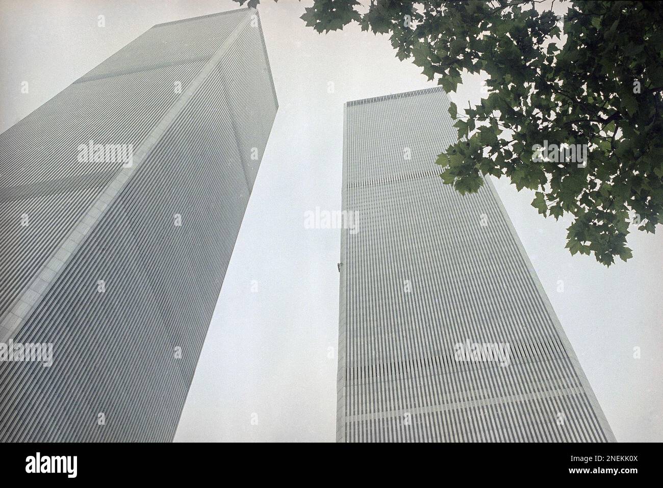 Daniel Goodwin (?Spider Man?) climbs the sheer face of the North Tower ...