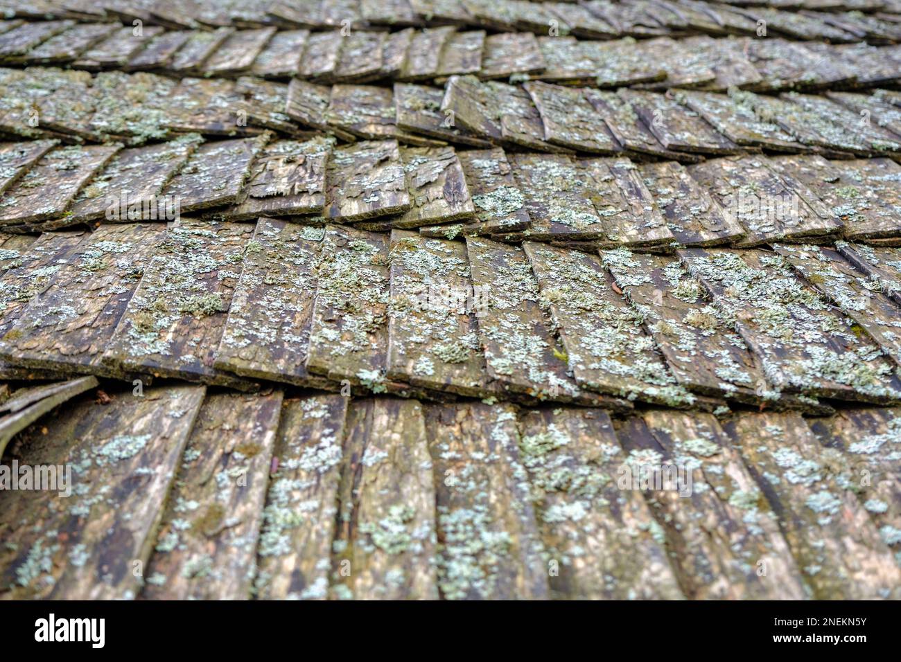 The old wooden texture of the roof, tile made of chipped wooden ...