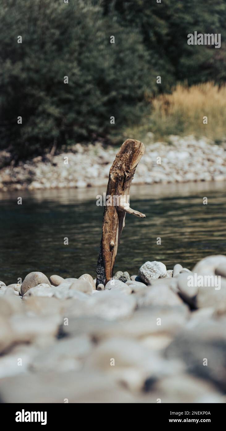 A vertical selective focus of a wooden log standing straight on the ...