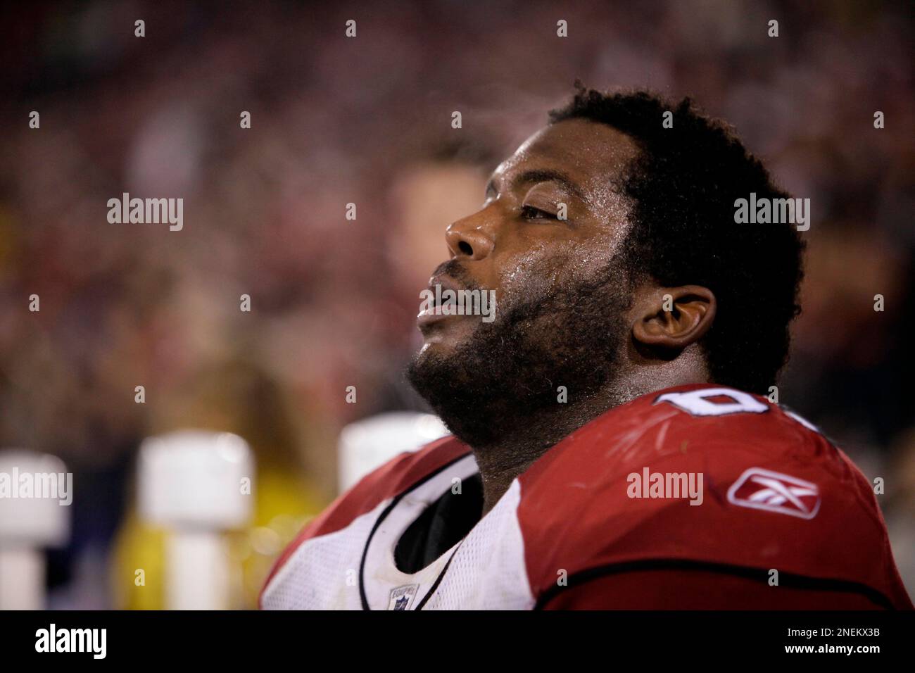 Arizona Cardinals offensive tackle Mike Gandy (69) during the third ...