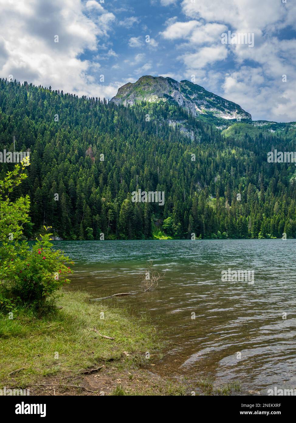 Bear Mountain above Black Lake, Durmitor National Park Stock Photo - Alamy