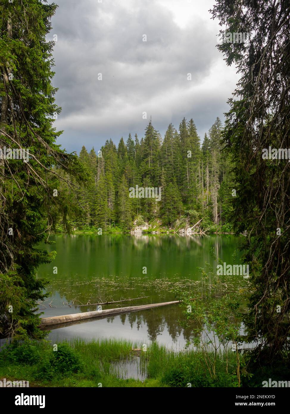 Snake Lake (Zminje jezero) Durmitor National Park Stock Photo - Alamy