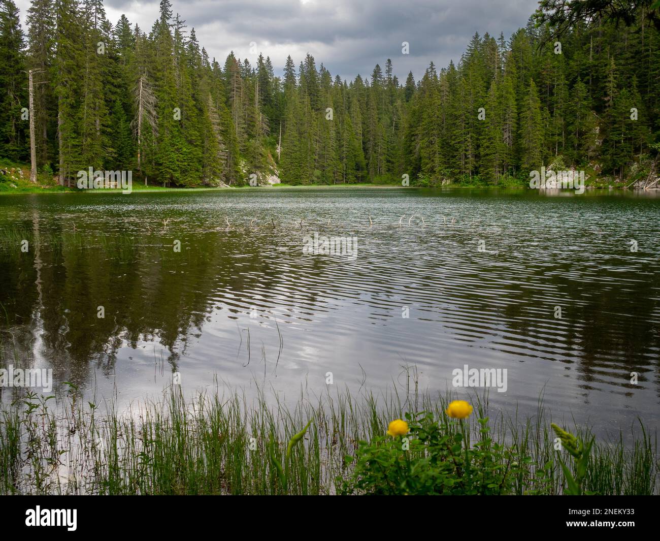 Zminje jezero hi-res stock photography and images - Alamy