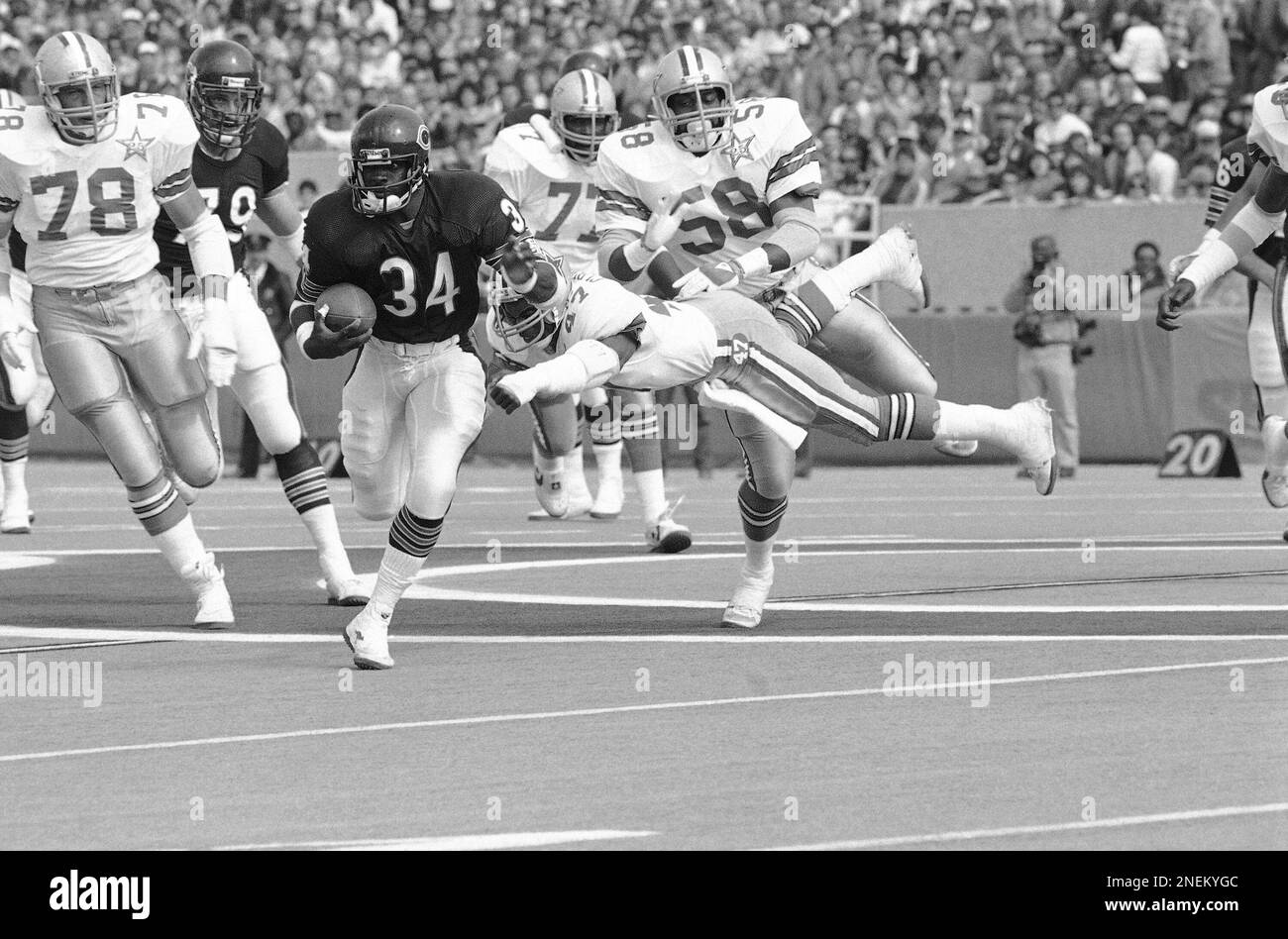 Chicago Bears Walter Payton (34) scatters Dallas Cowboys Dextor ...
