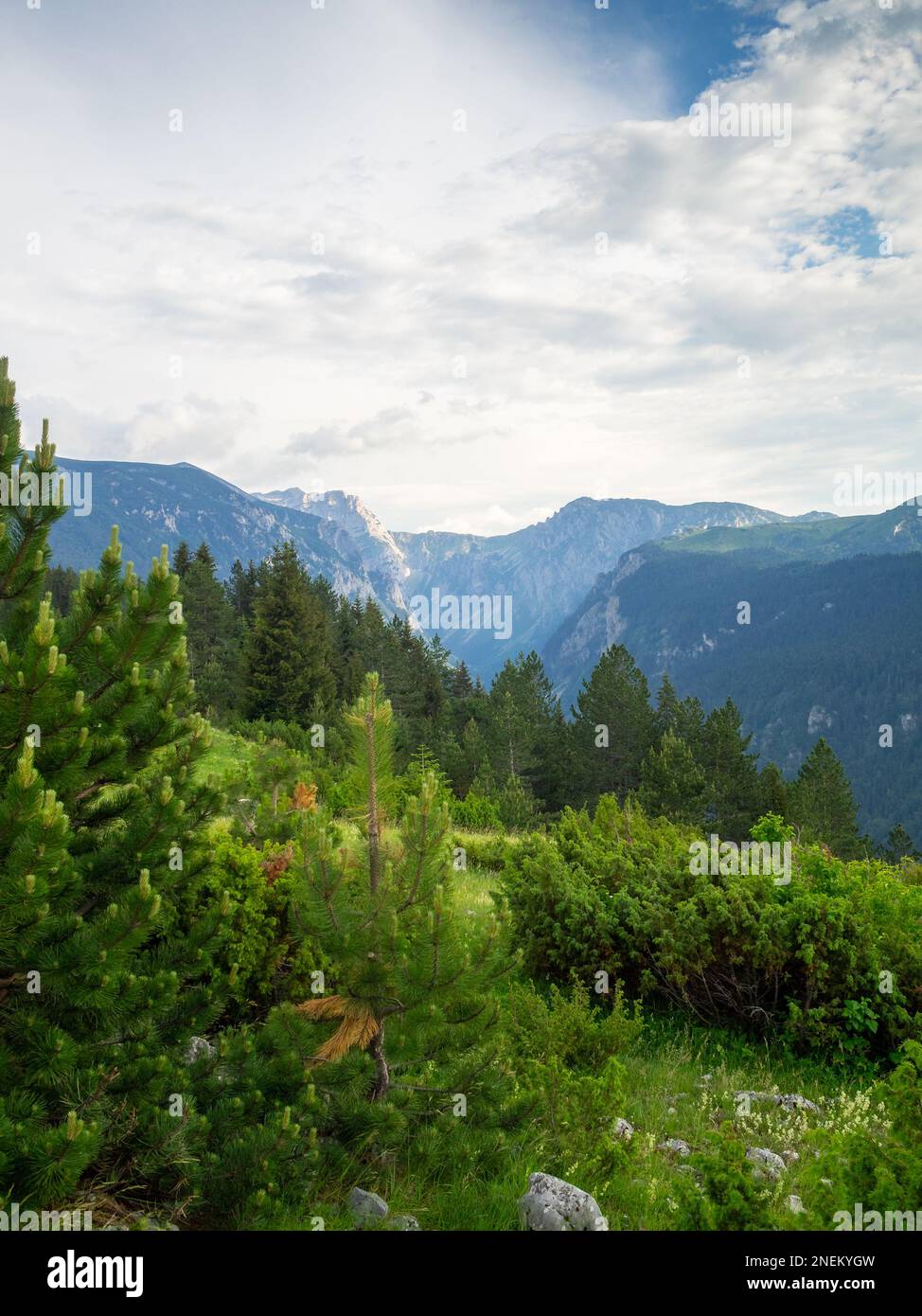 Durmitor mountains gorge hi-res stock photography and images - Alamy