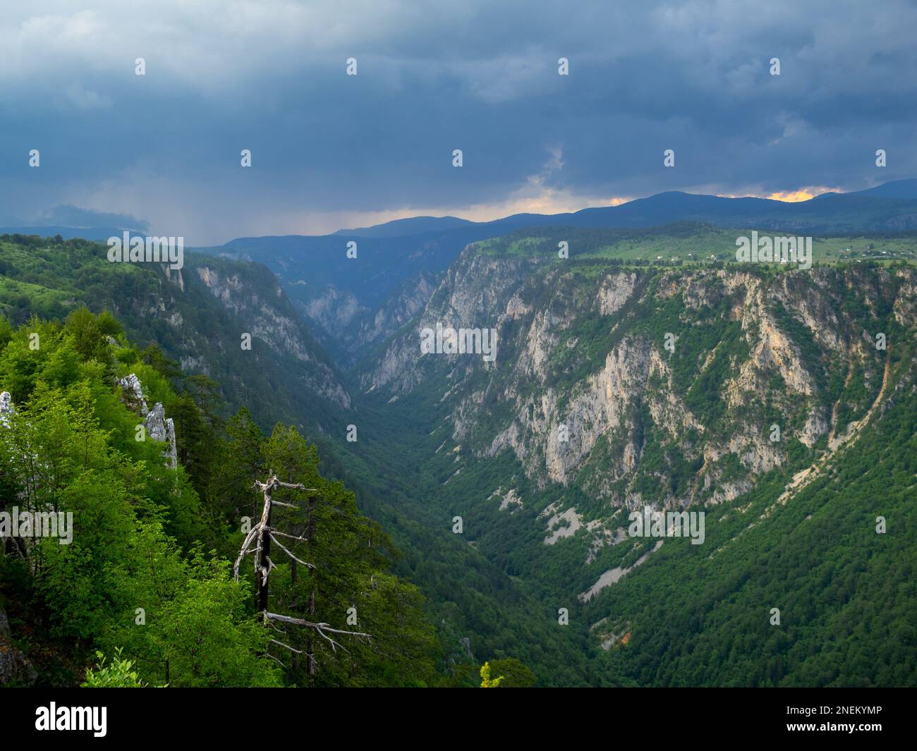 Durmitor mountains gorge hi-res stock photography and images - Alamy