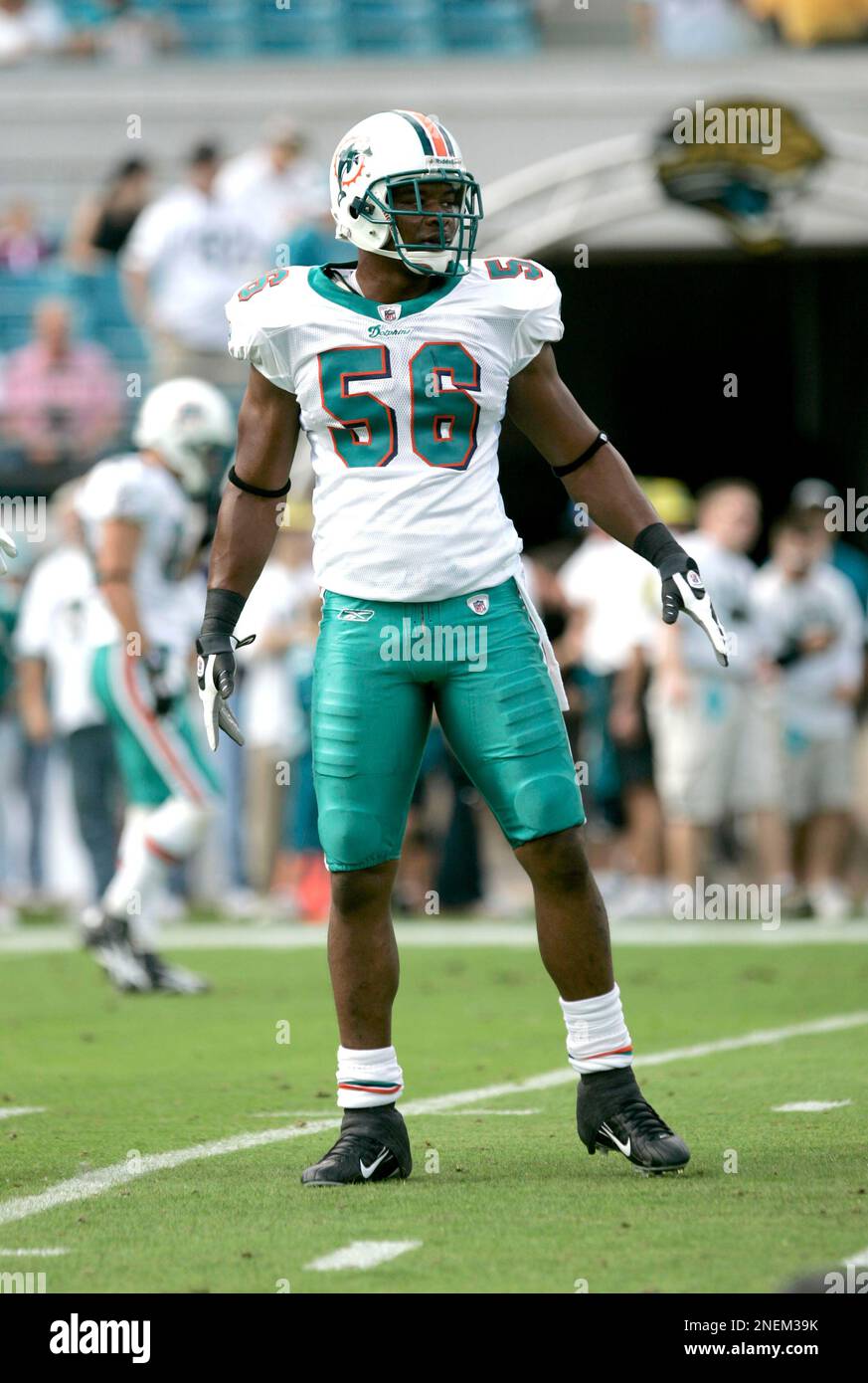Miami Dolphins linebacker Charlie Anderson during a NFL football game ...