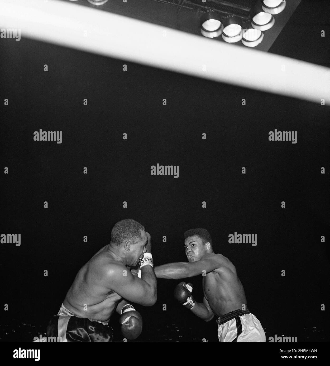 Action professional sportsperson boxing ring competition strength sport ...