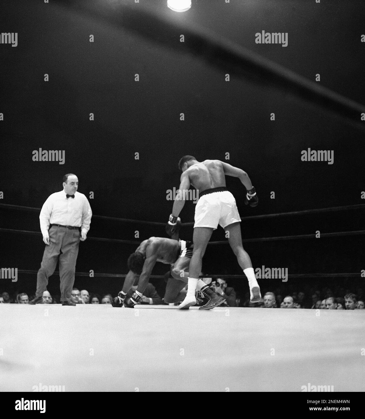 Muhammad Ali (Cassius Clay) stands over Charlie Powell who is falling ...