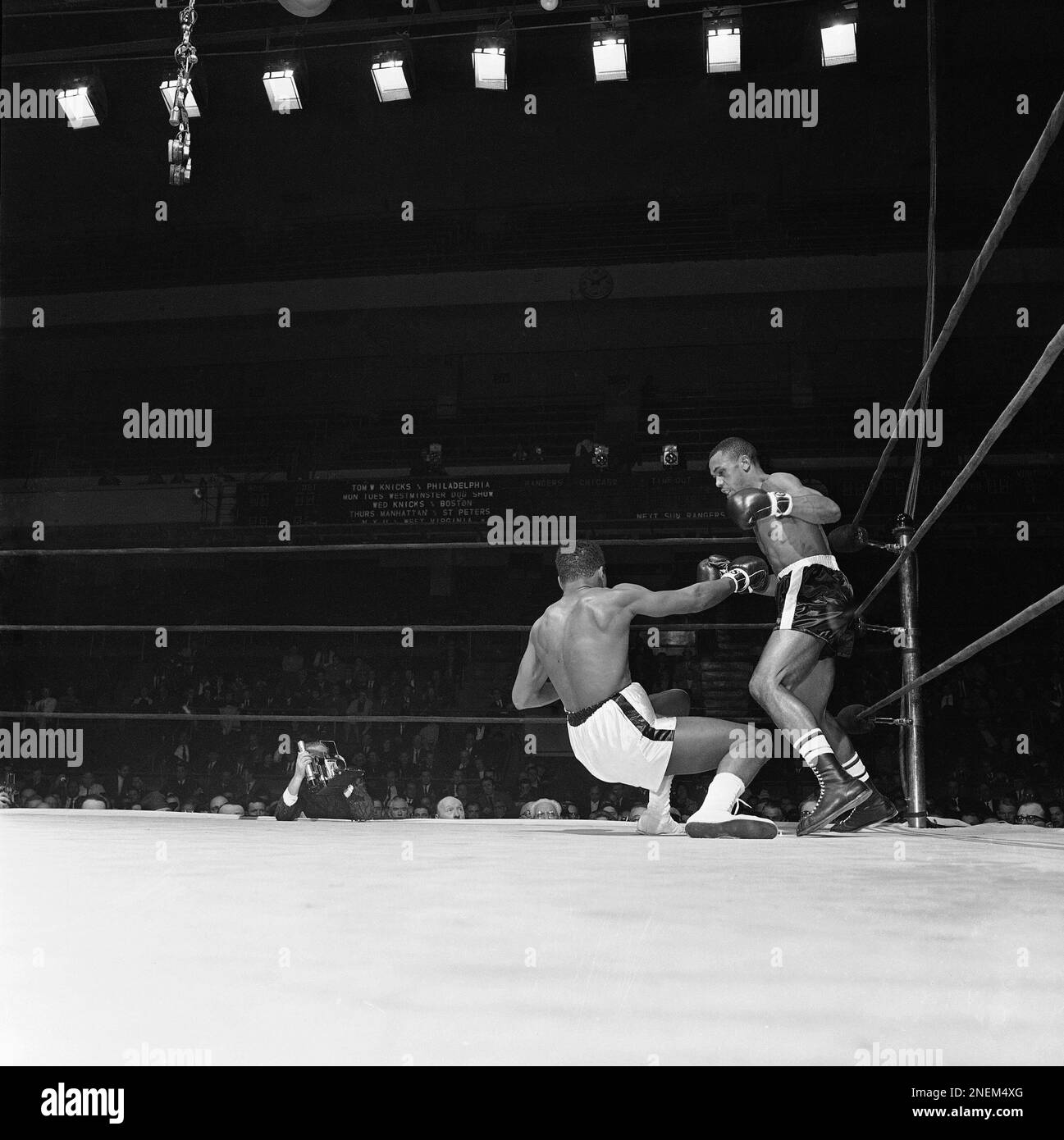 Professional sportsperson action sport punch strength competition ...