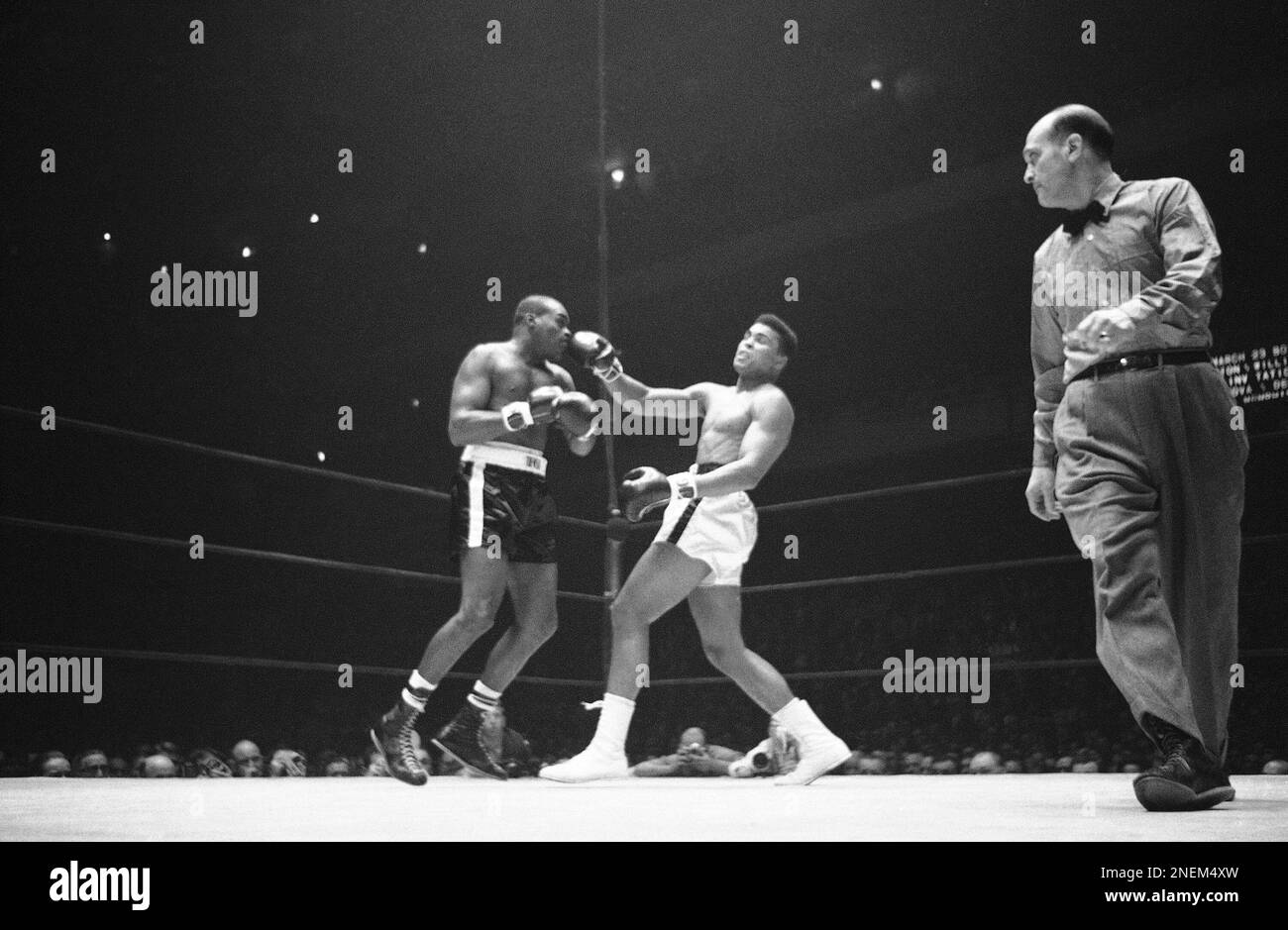 Professional sportsperson action sport punch strength competition ...