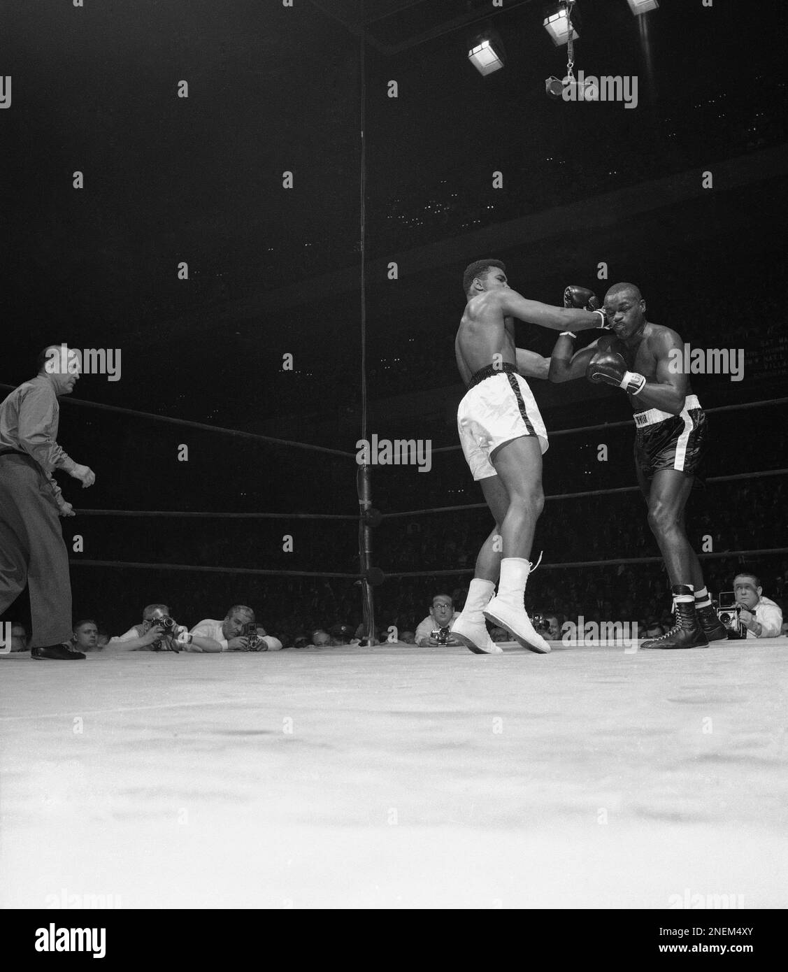 Professional sportsperson action sport strength competition boxing ring ...