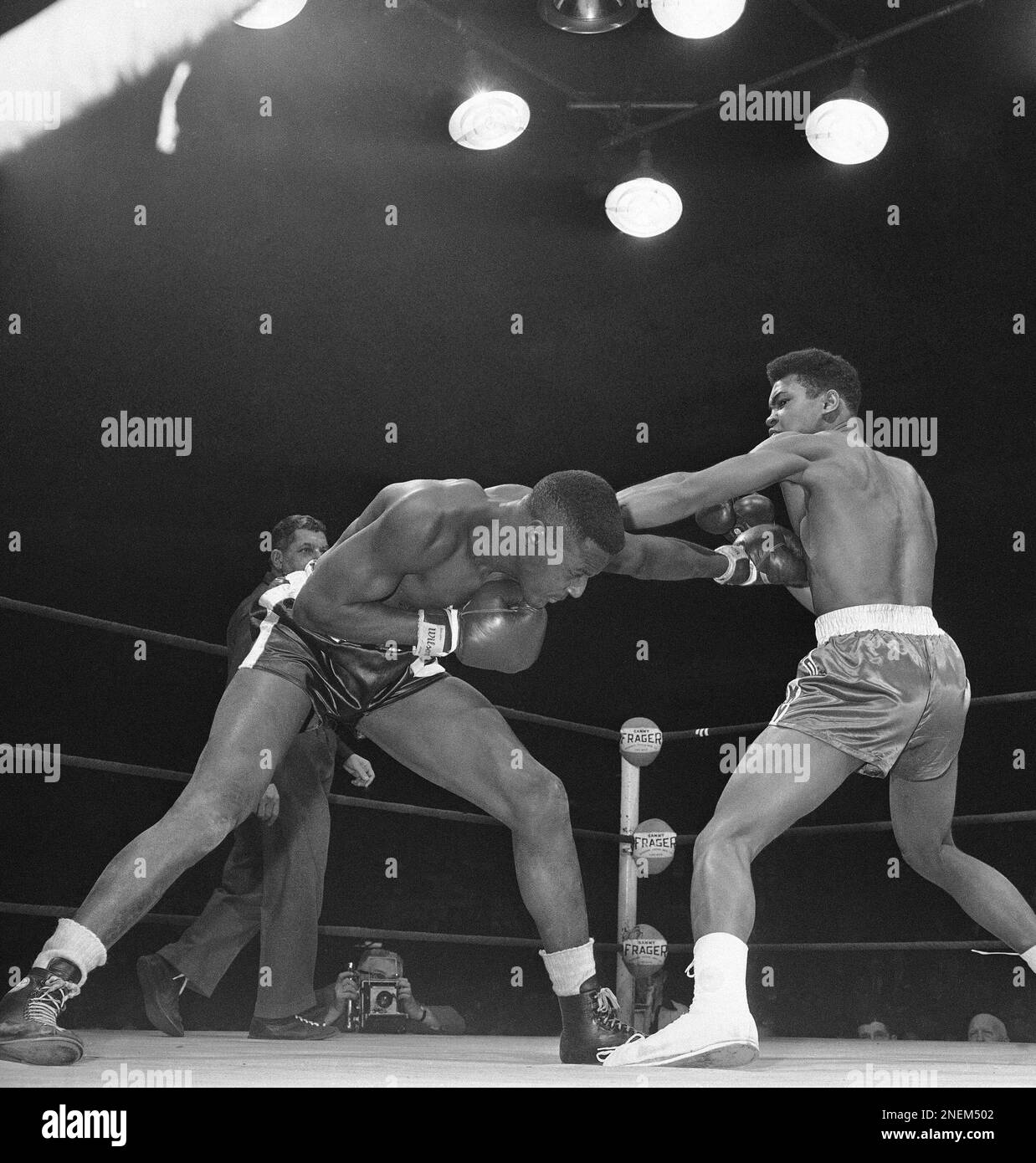 Action professional sportsperson boxing ring competition strength sport ...