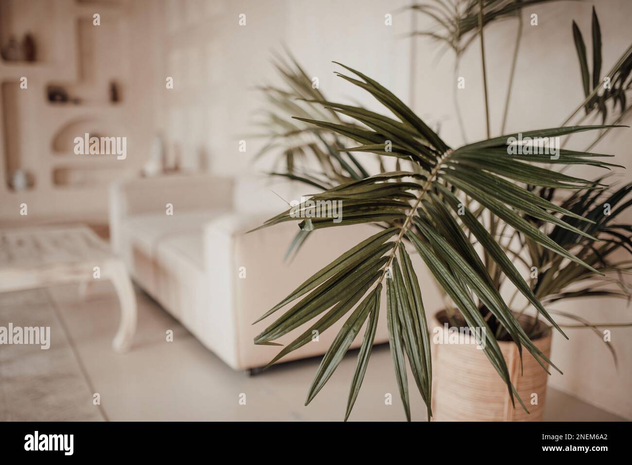 Soft native hues organic shapes look of living room to wood accents in ...