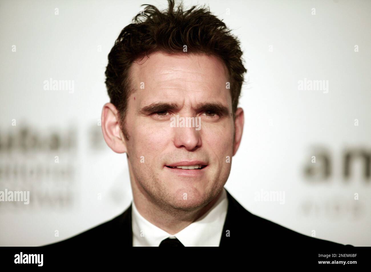 American Actor Matt Dillon arrives at the amfAR Cinema Against Aids ...