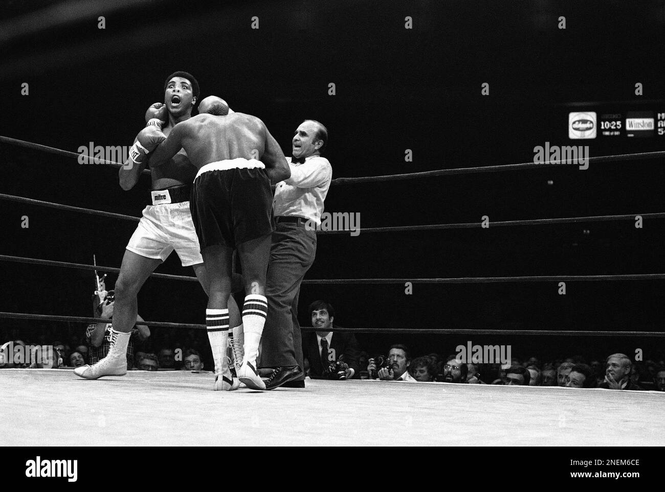Referee Johnny Lo Bianco tries to step between heavyweight champion ...
