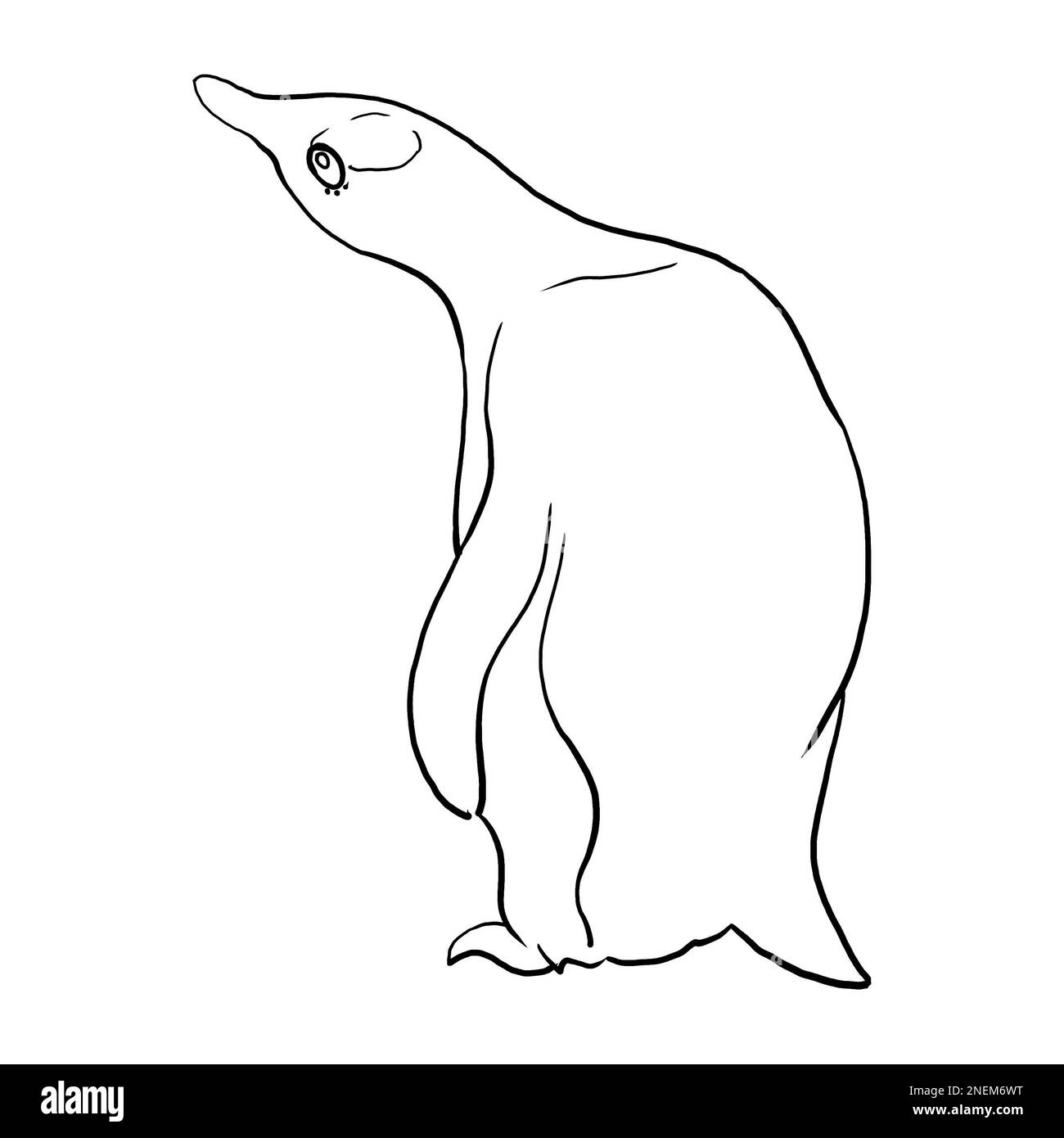 Linear drawing of a penguin. High quality illustration Stock Photo - Alamy