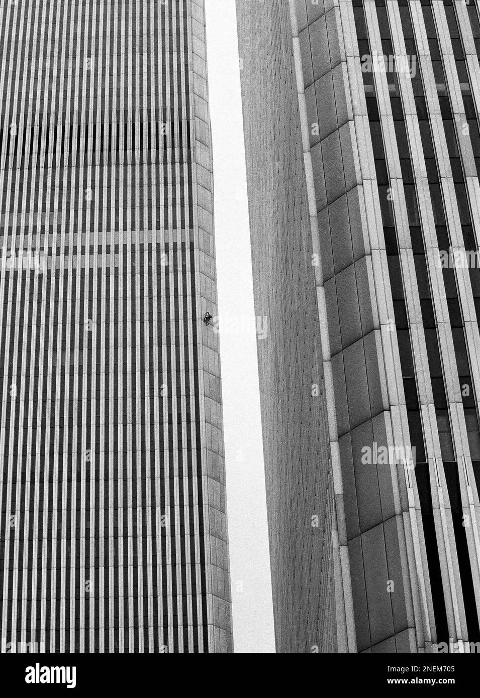 The speck on the north tower of the World Trade Center is stuntman Dan ...