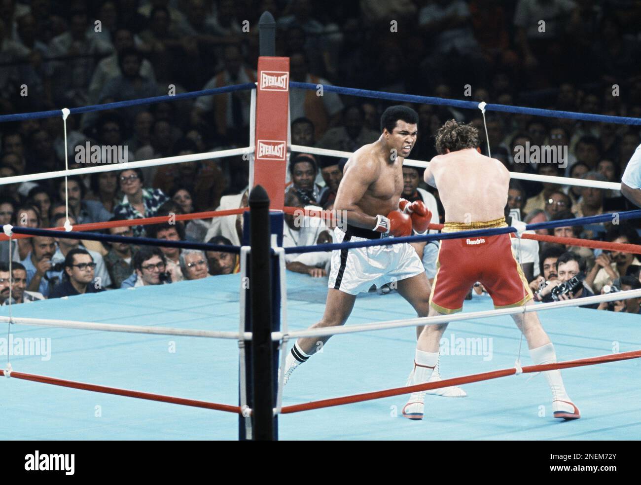 Fight action between Muhammad Ali and Jean-Pierre Coopman on Feb. 20 ...