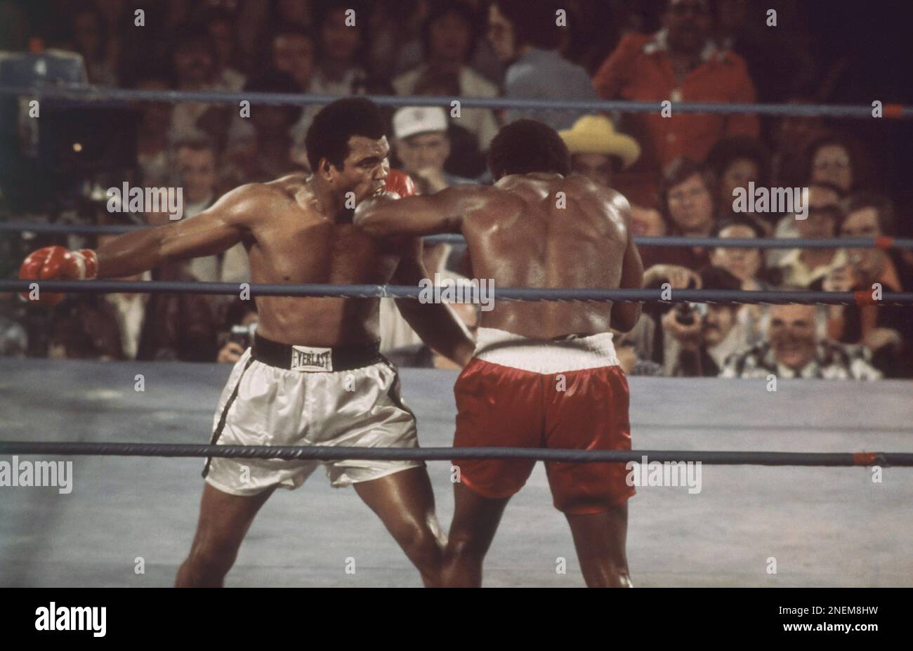 Muhammad Ali looks as if he is biting Ron Lyle?s arm as the two met for ...