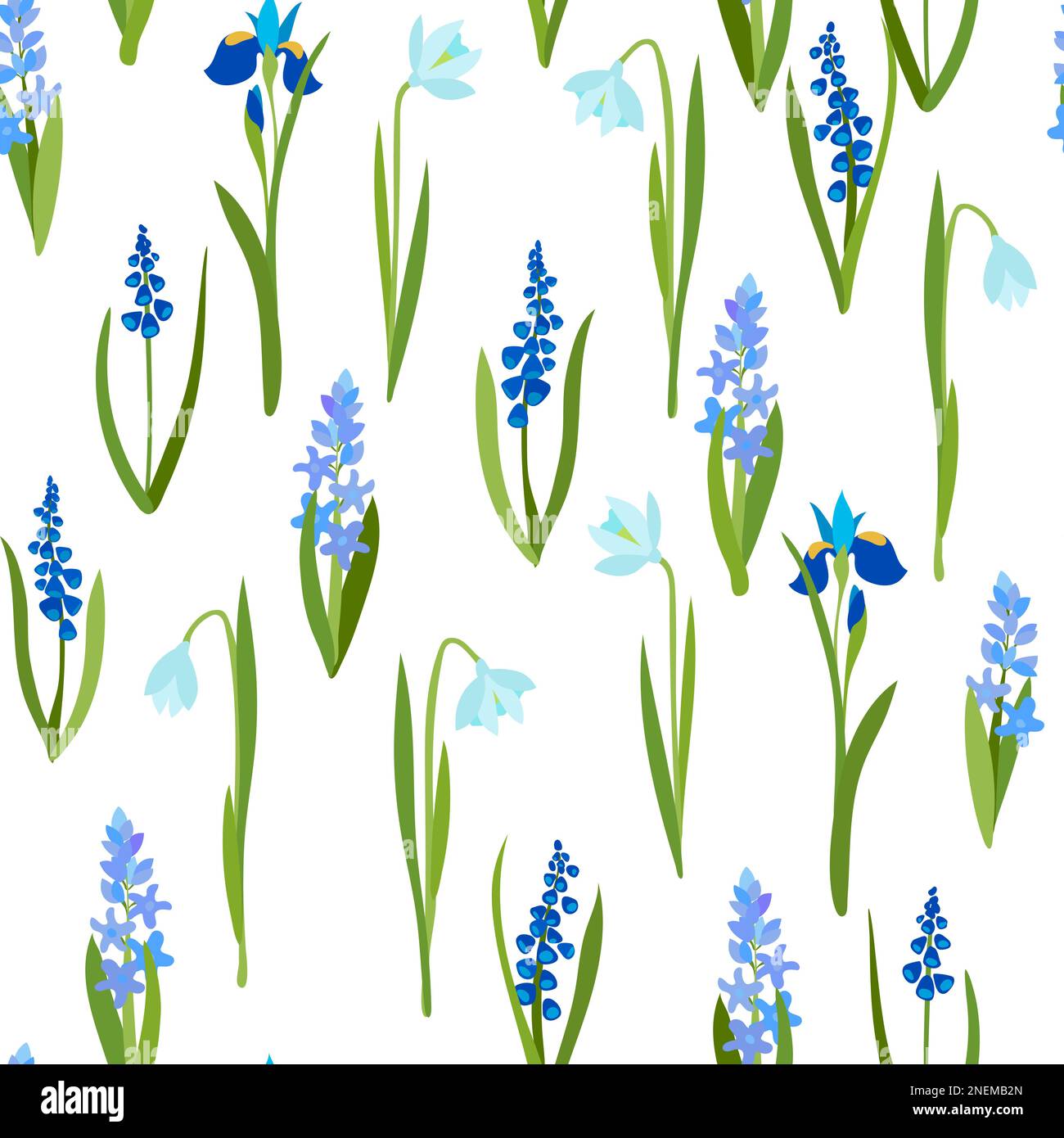 Spring flowers, hyacinths and snowdrops, muscari. drawing seamless ...