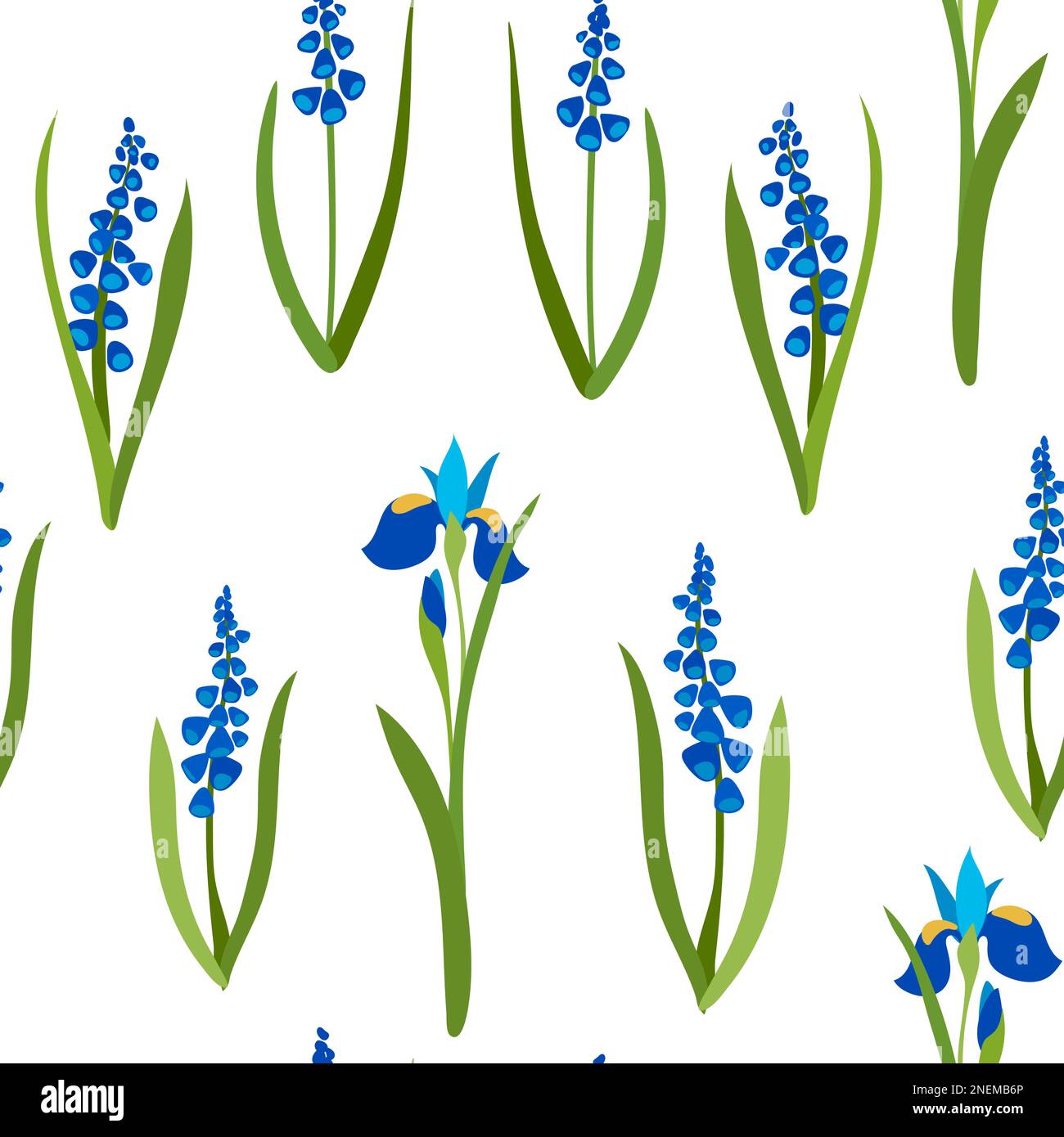 Spring flowers, irises and muscari. seamless garden pattern Stock ...