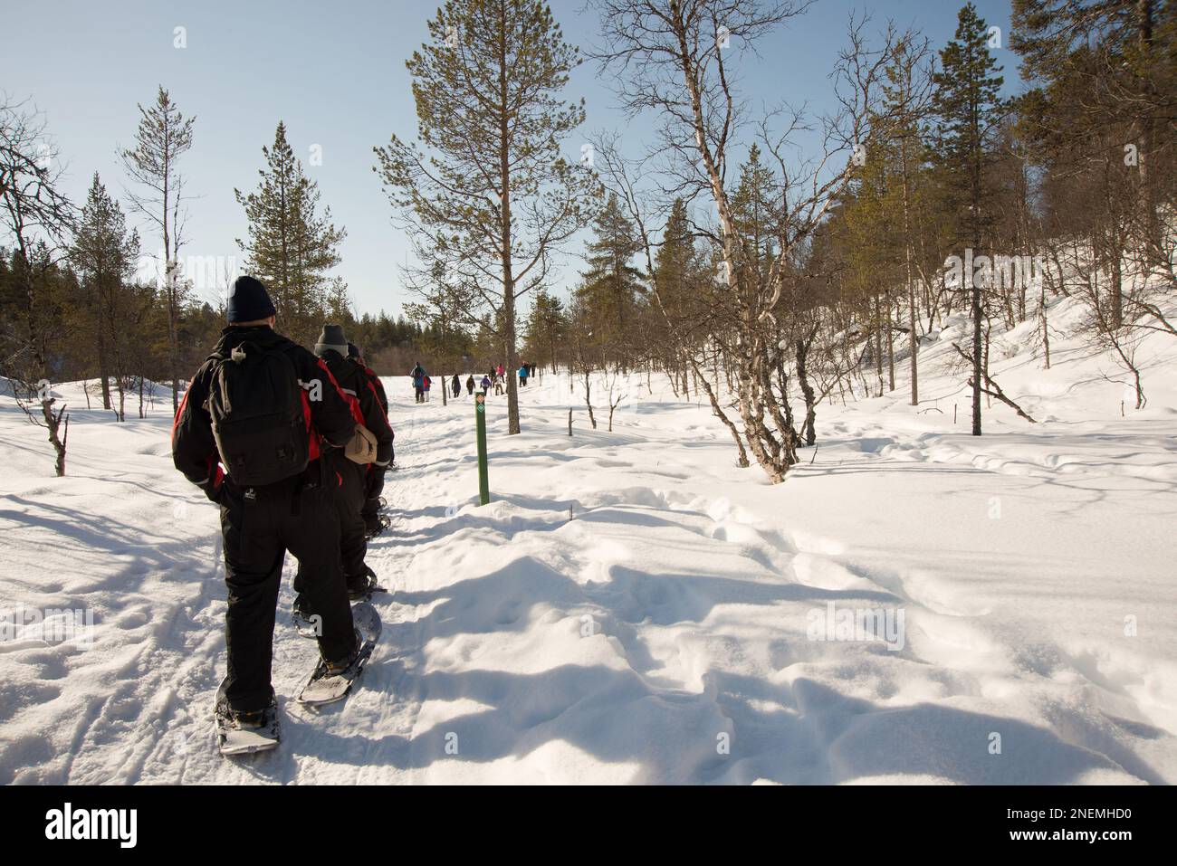 Unrecognizable group of people walking in a row with snow rackets. Seen ...