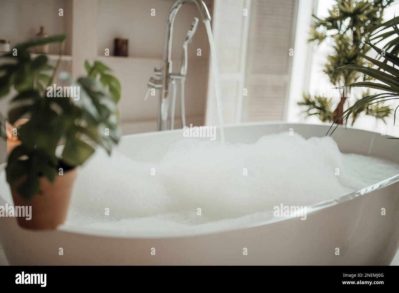 Soft native hues organic shapes look of bathroom with big window oval ...
