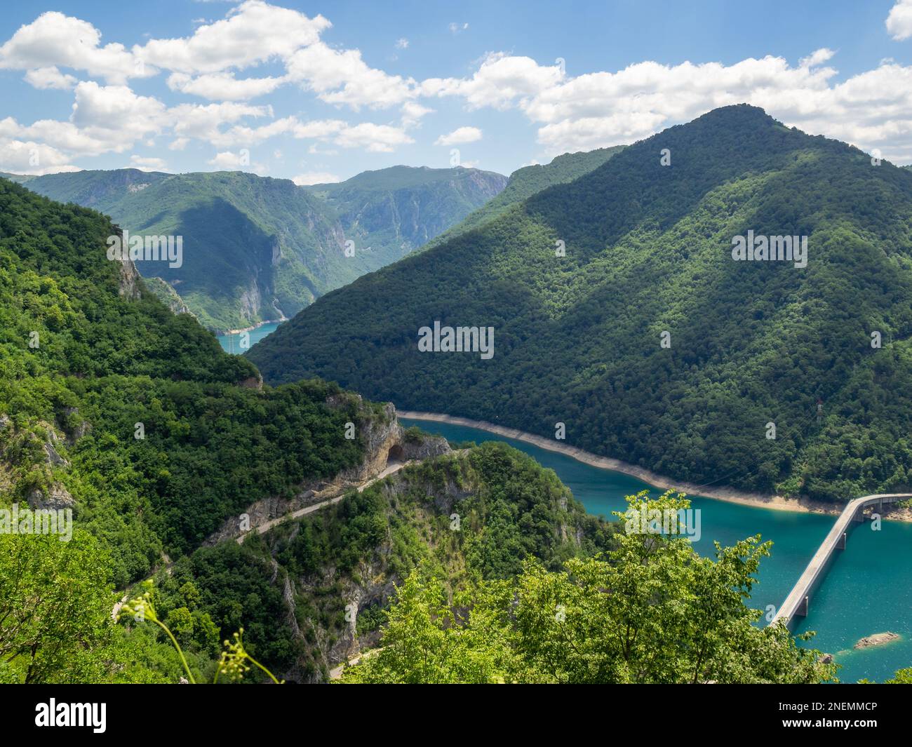 Tunnel from trees between hi-res stock photography and images - Alamy