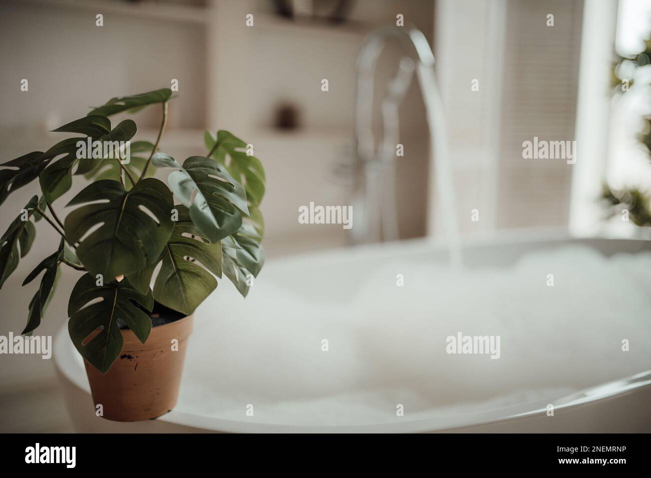Soft native hues organic shapes look of bathroom with big window oval ...