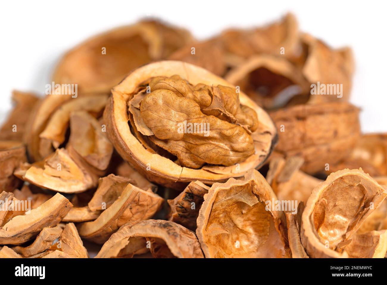 Walnut and nutshells against white background Stock Photo - Alamy