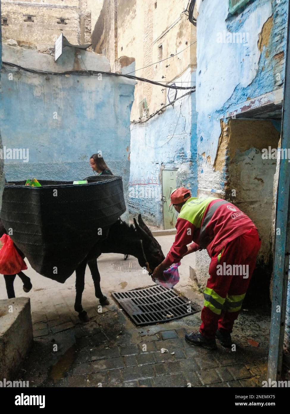 Morocco, Fes, municipal waste collection Stock Photo - Alamy