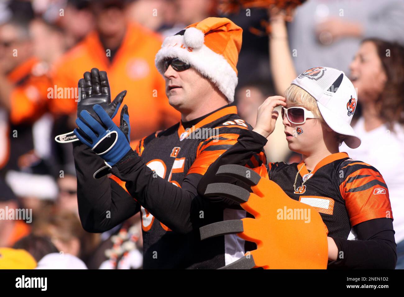 Cincinnati Bengals fans cheer on thier teams during the first half of ...
