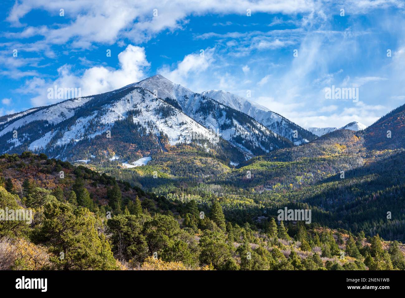 Early snow with aspen trees in fall color in the La Sal Mountains ...