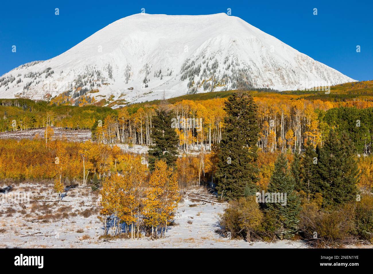 Early snow on Mt. Peale with aspen trees in fall color in the La Sal ...