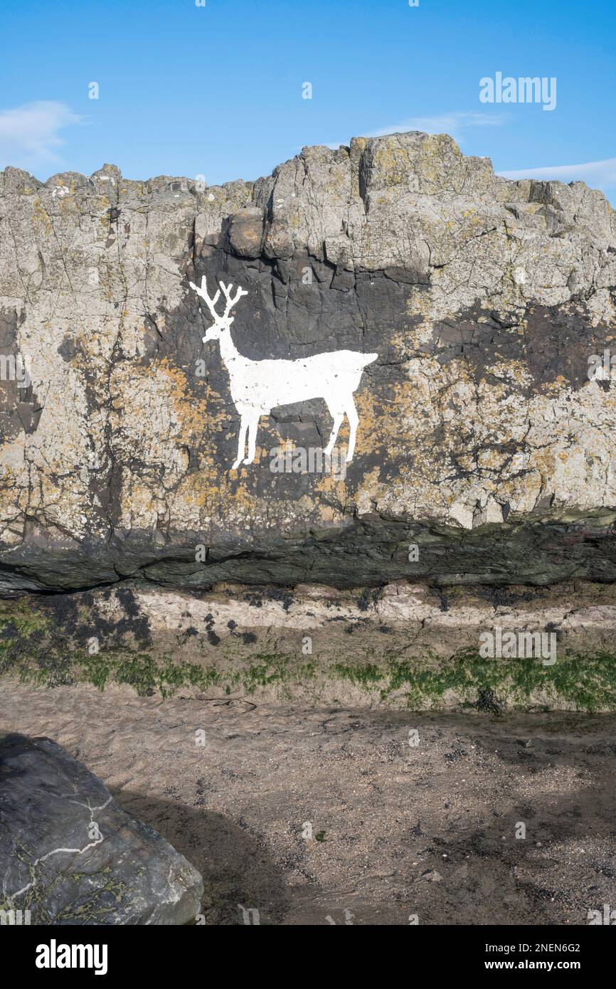 Painting of a stag on Stag Rock, near Bamburgh, Northumberland, England ...