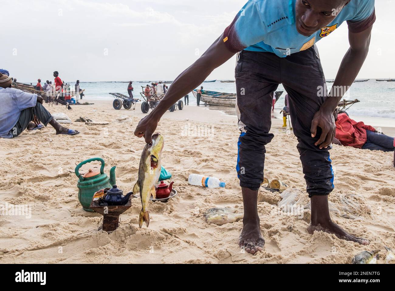 Mauritania, Nouakchott, fish market Stock Photo - Alamy