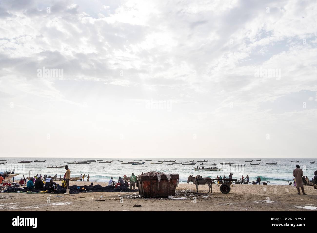 Mauritania, Nouakchott, fish market Stock Photo - Alamy