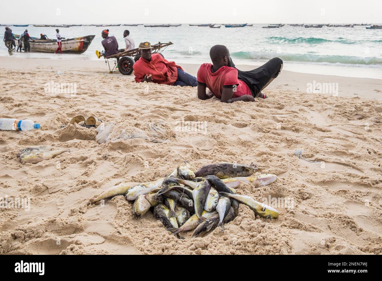 Mauritania, Nouakchott, fish market Stock Photo - Alamy