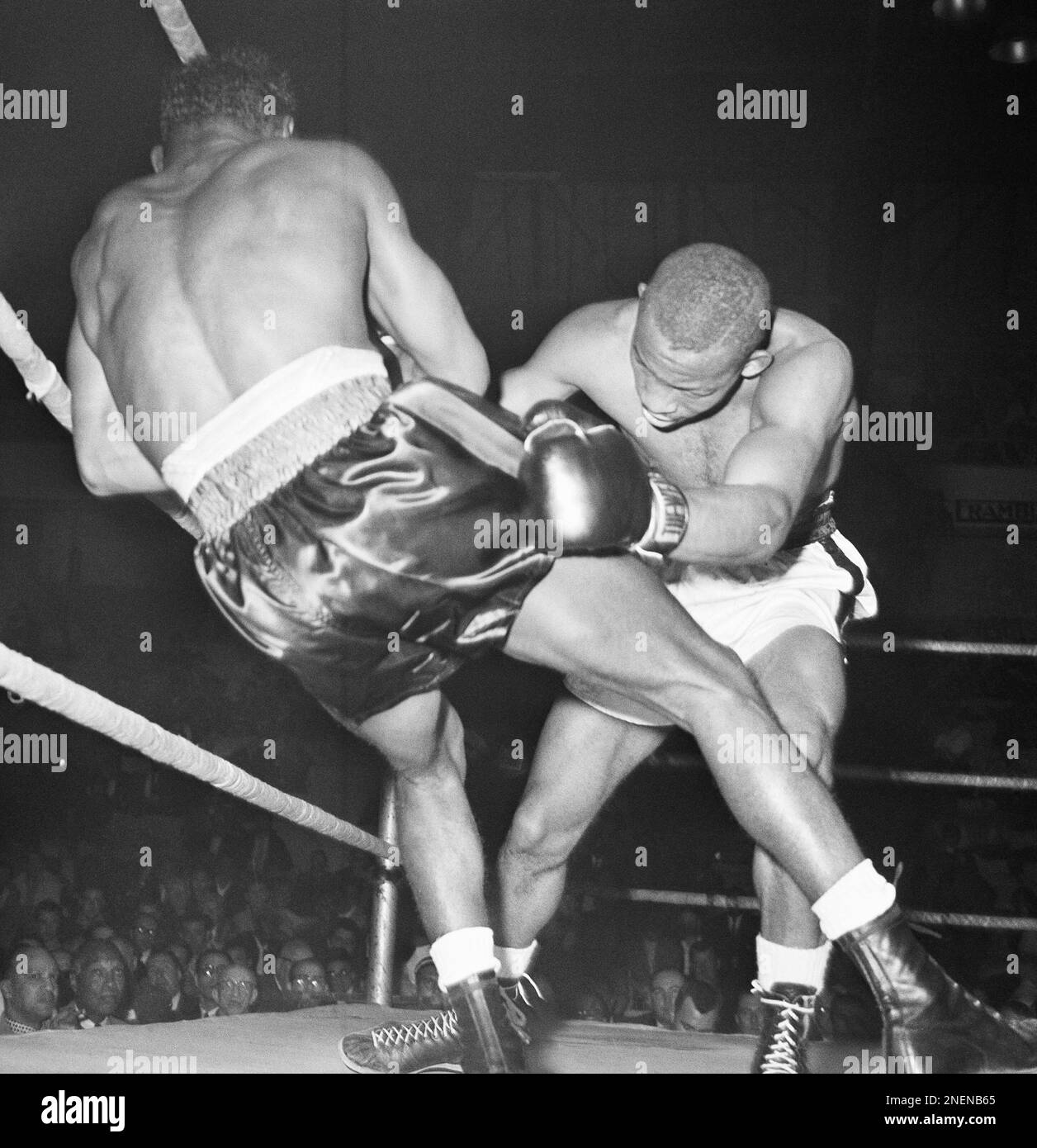 Action boxing glove aggression challenge competition boxing ring boxer ...