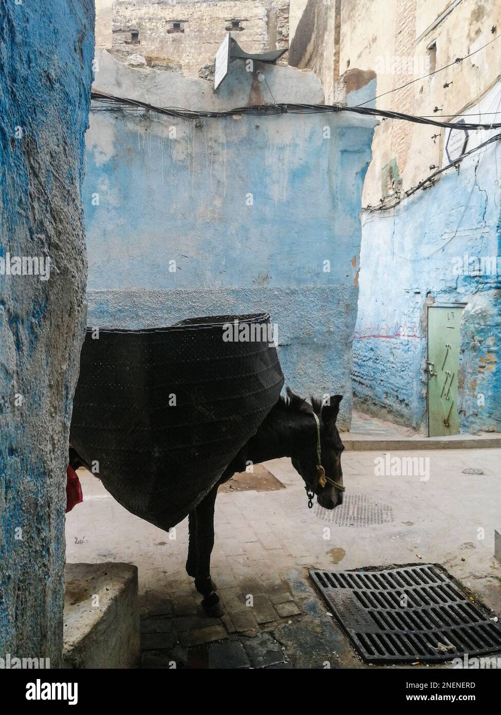 Morocco, Fes, municipal waste collection Stock Photo - Alamy