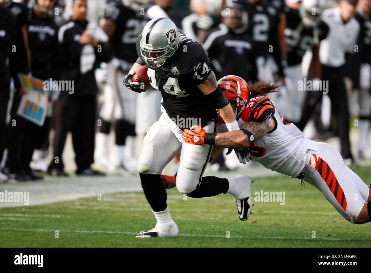 Oakland Raiders' Luke Lawton (44) and Cincinnati Bengals' Rey Maualuga ...