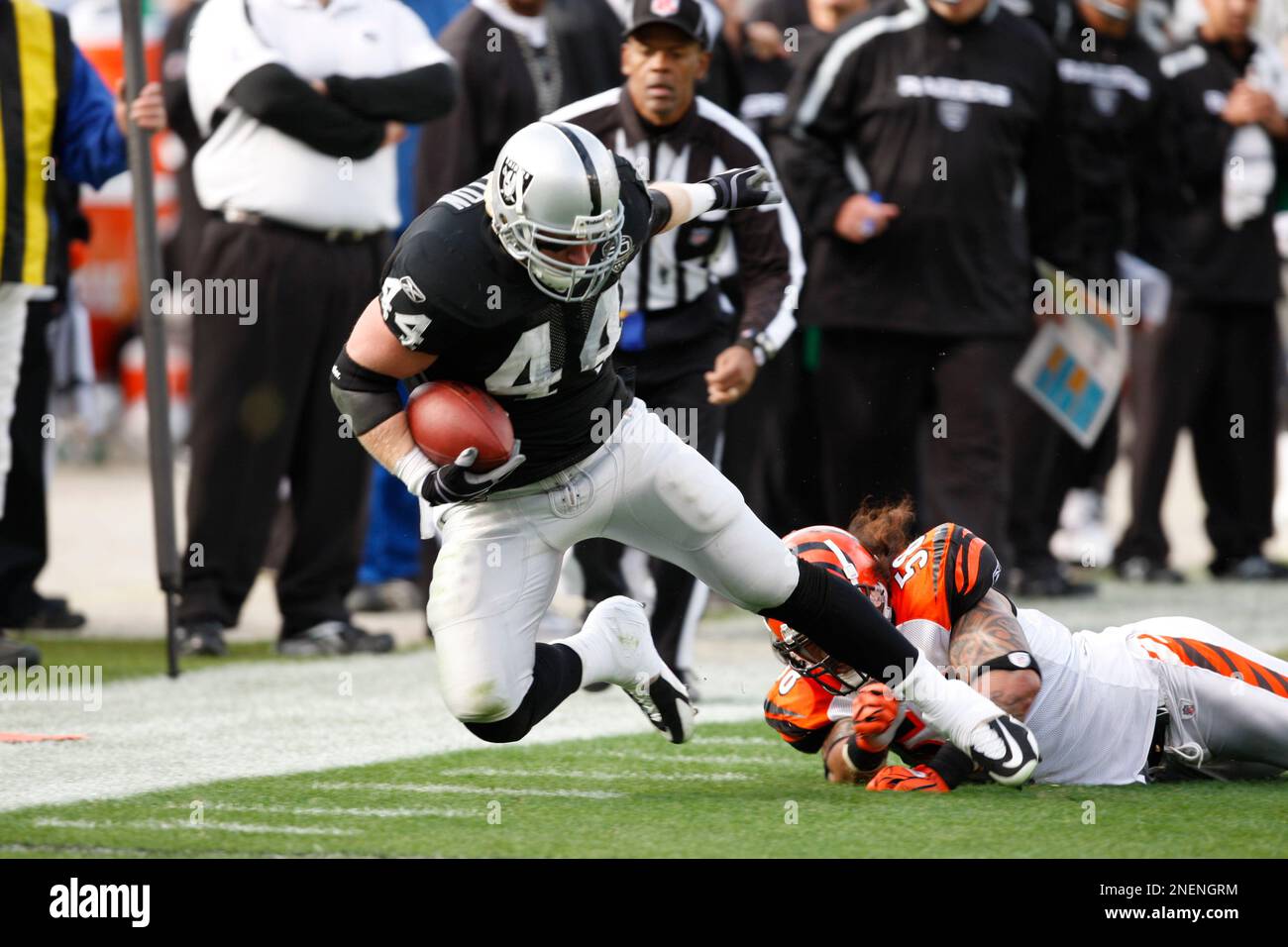 Oakland Raiders' Luke Lawton (44) and Cincinnati Bengals' Rey Maualuga ...