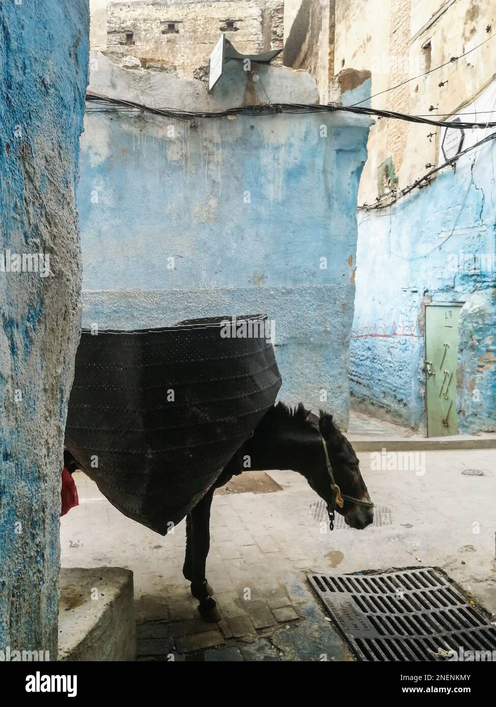 Morocco, Fes, municipal waste collection Stock Photo - Alamy