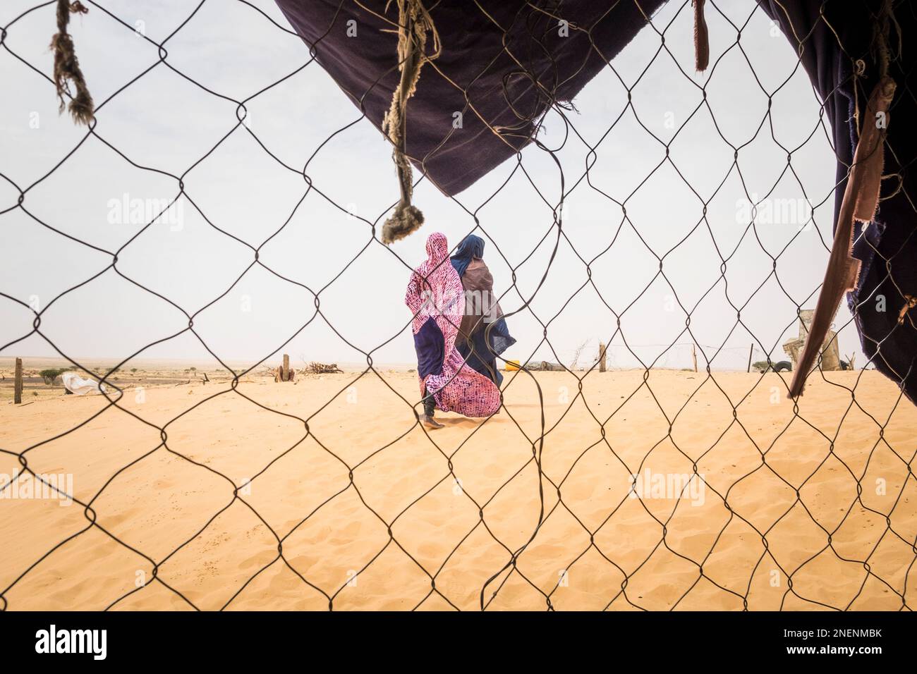 Mauritania, on the trail to Tichitt, nomad camp, daily life Stock Photo ...