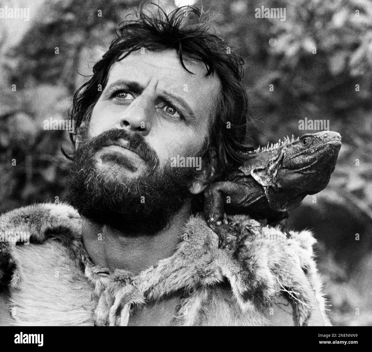 Ringo Starr, famed drummer with the disbanded rock group “The Beatles ...