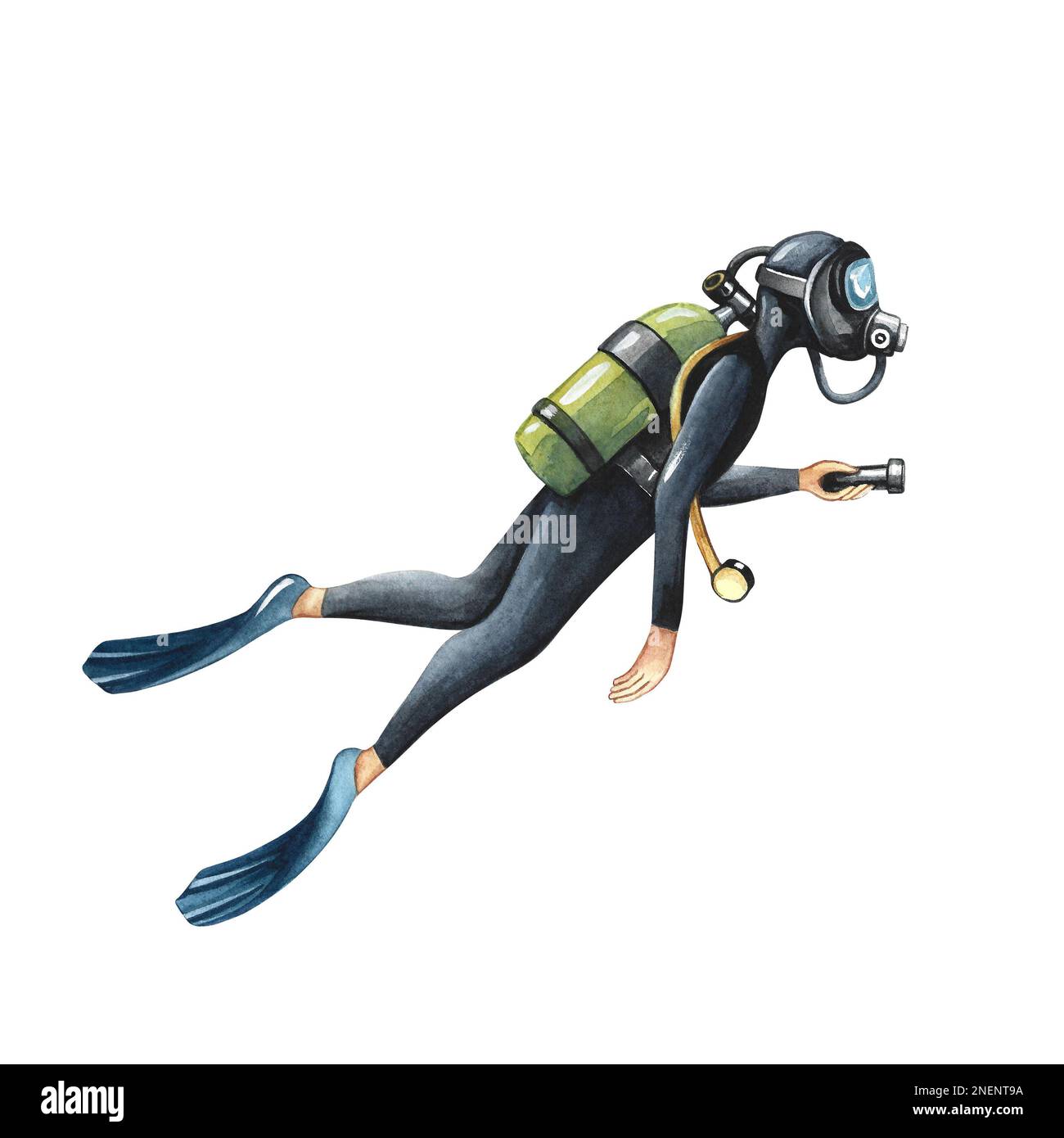 The diver swims underwater. Underwater travel. Watercolor hand drawn ...