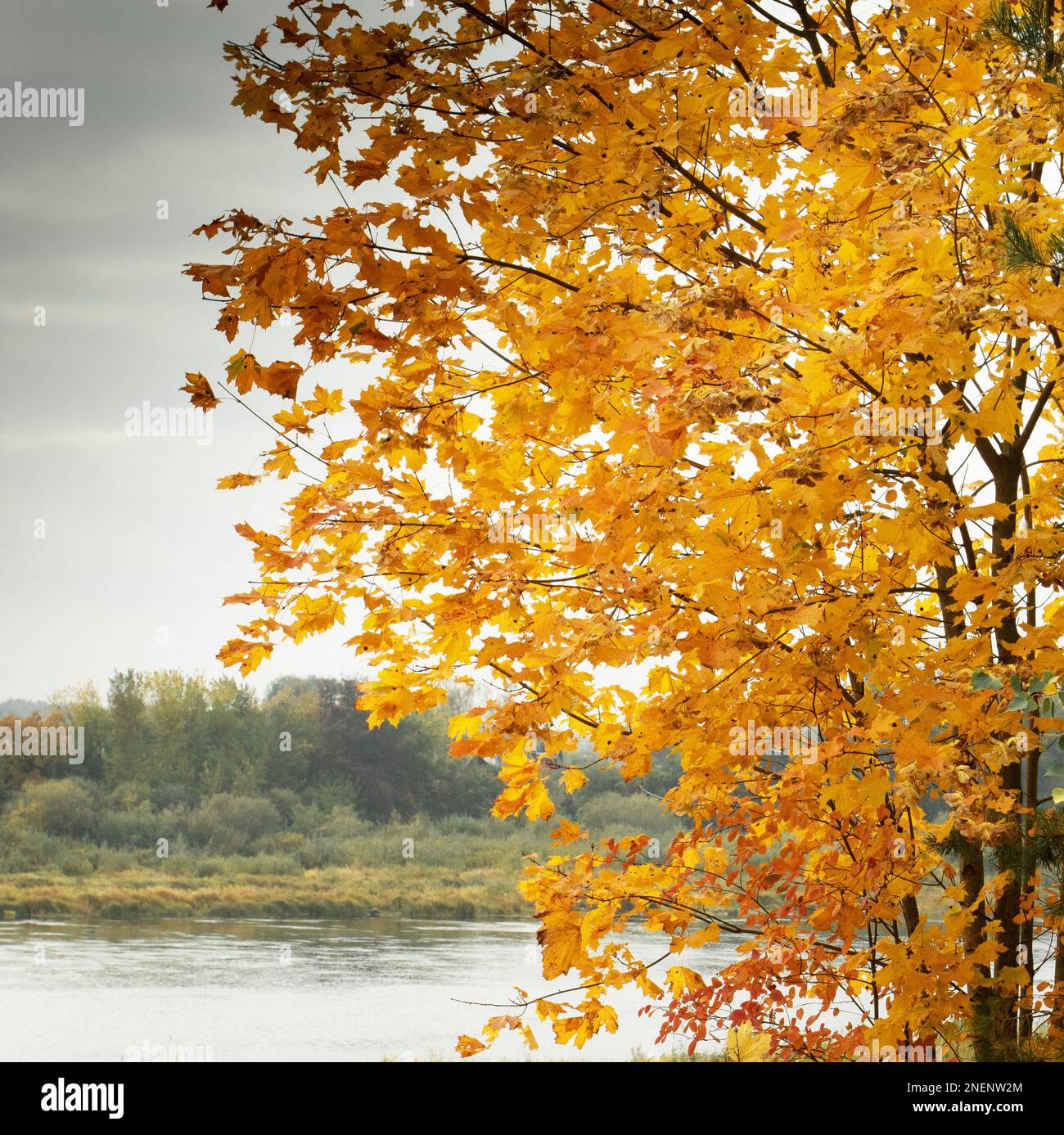 October landscape hi-res stock photography and images - Alamy