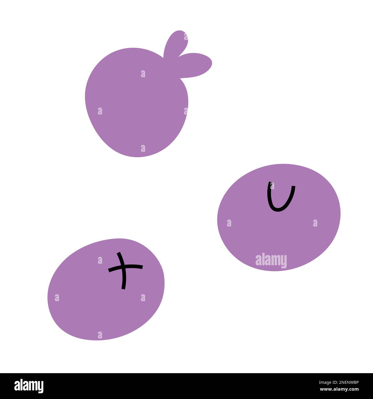 Blueberries doodle illustration isolated on white background. Simple ...