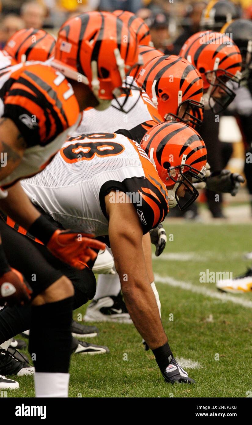 The Cincinnati Bengals in offense lines up against during a NFL ...